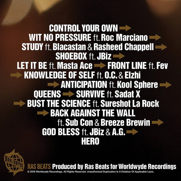 Control Your Own By Ras Beats CD 2016 Worldwyde Recordings In New 